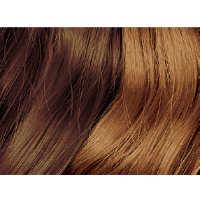 Indola Color Style Mousse Light Brown Hazel - 200ml – Barber Bazaar